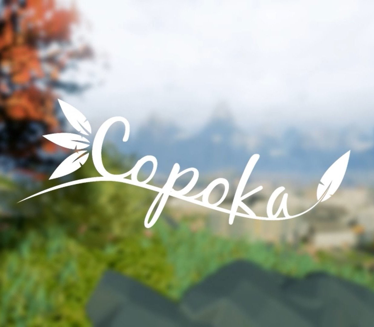 Copoka EU PC Steam CD Key – Keyronics